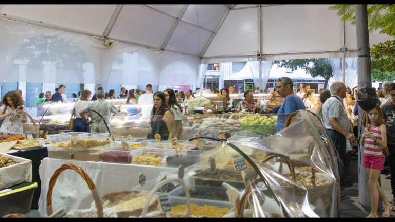 Feira de Torres Novas: Uma Experiência Imperdível | Actualizado ...